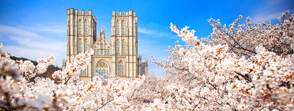 Koreal Trip - Find Real Korea, See more. Pay less. - korealtrip